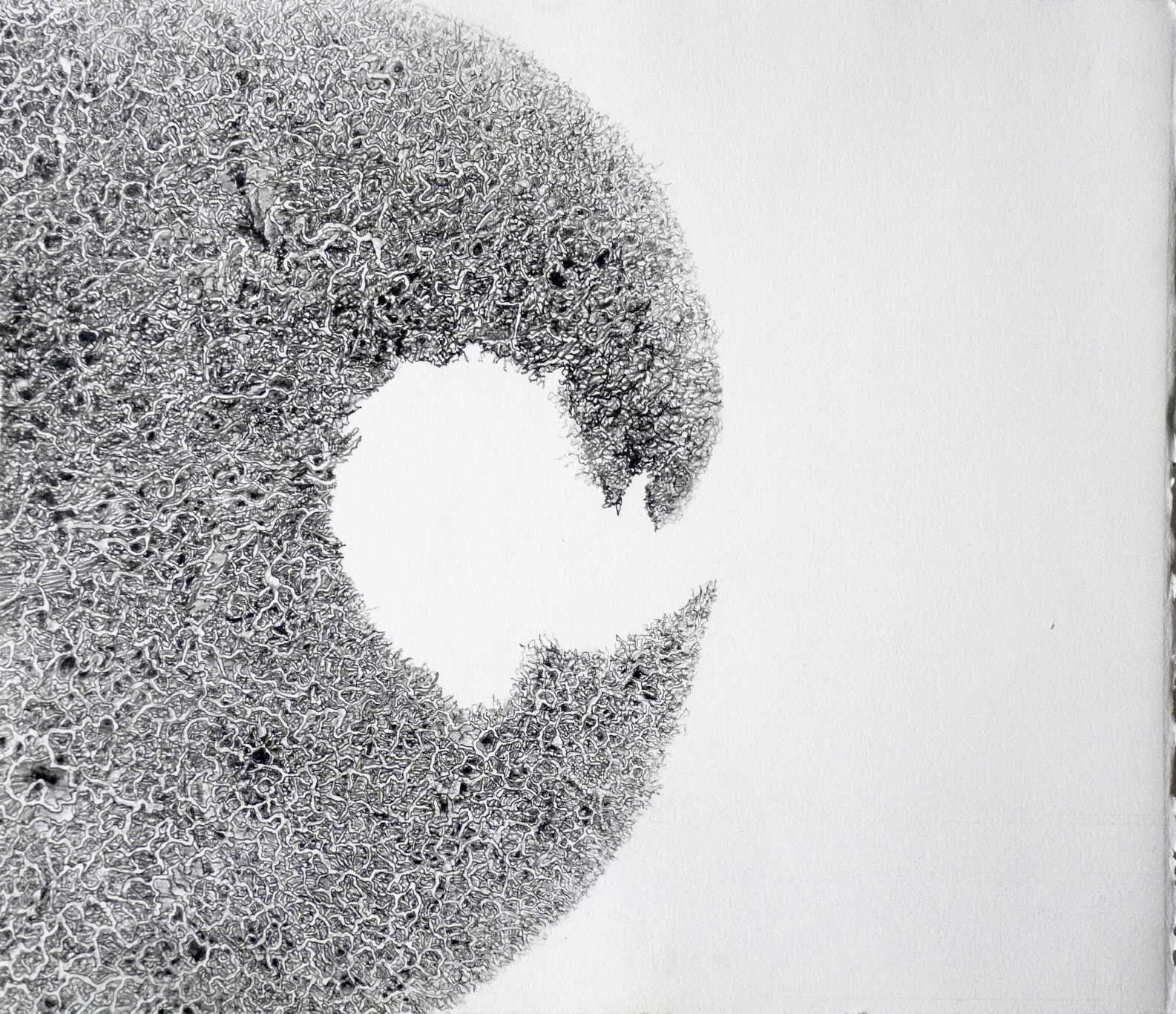 Untitled Drawing – Stephen Barber